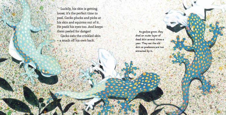 Raymond Huber: Gecko Picture Book